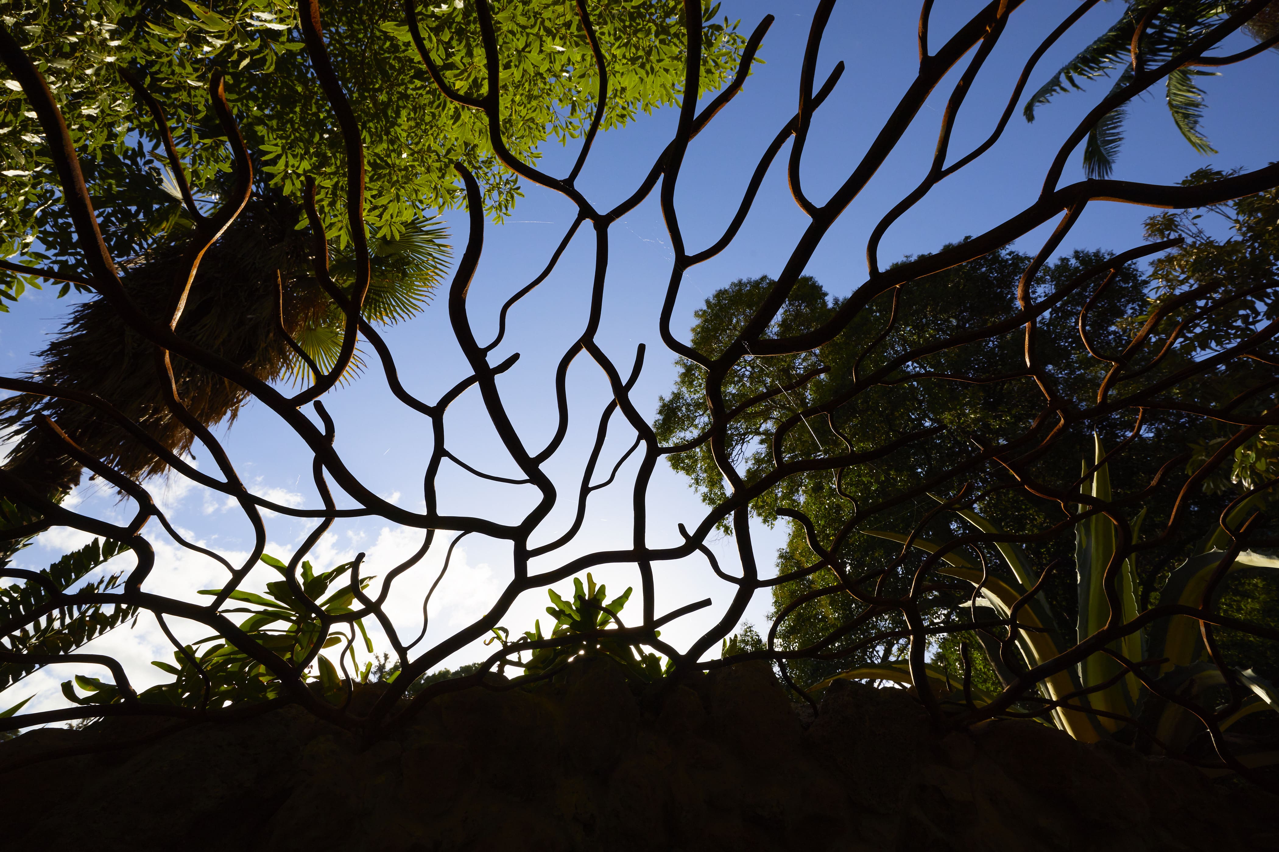 Biomimicry | Royal Botanic Gardens Victoria
